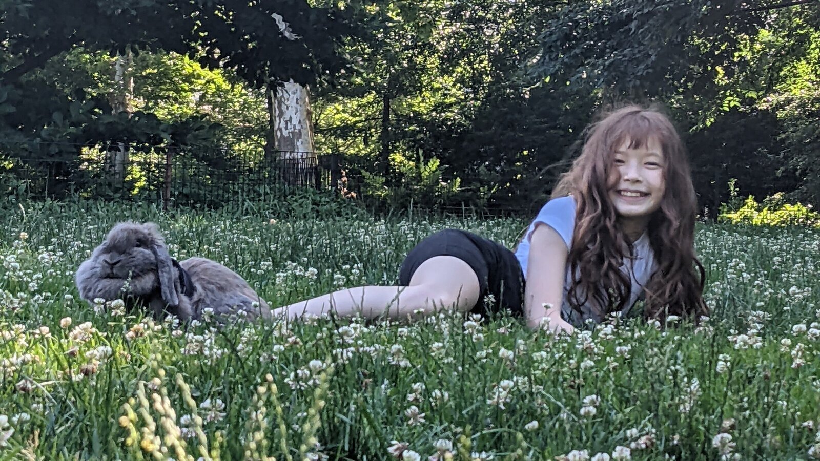 Petition · Establish a Safe, Enclosed Grass Area for Pet Rabbits in ...