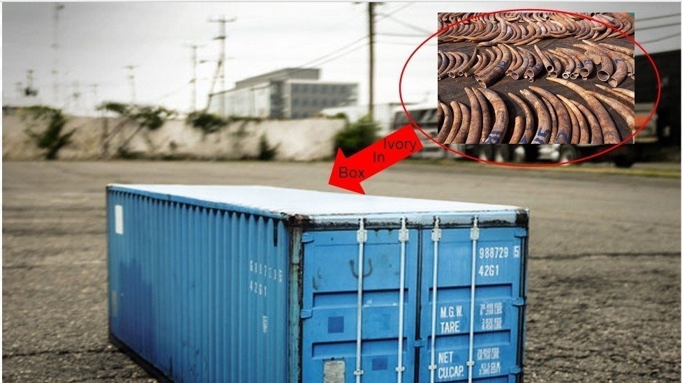 Petition · STOP the ILLEGAL Ivory TRADE - Hong Kong SAR China · Change.org