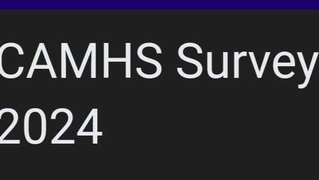 Petition update · CAMHS Survey 2024. How Have You or Your Child Been ...