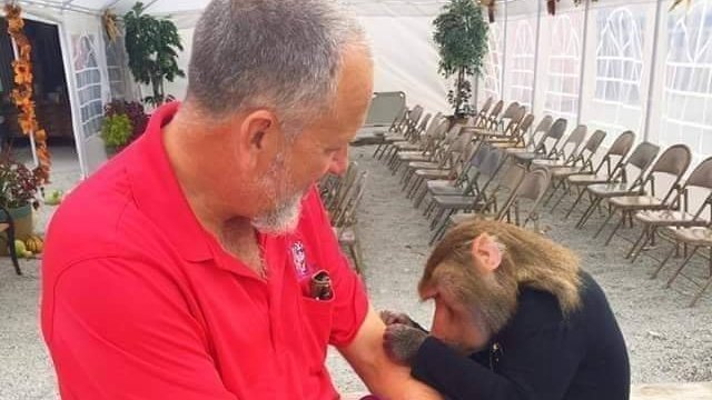 Petition · Return Tim Stark's animals - United States · Change.org