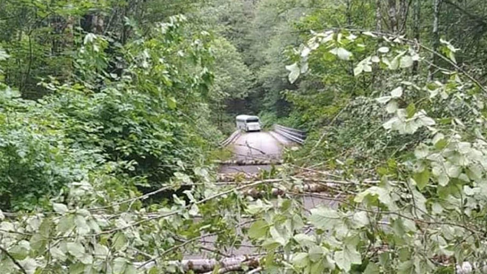 Petition · Recall Mayor Tim Fletcher and Council Member Mike Gilstrap ...