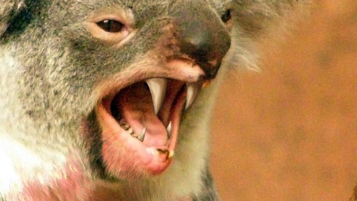 Petition · Add Dropbears to Minecraft! - Australia · Change.org