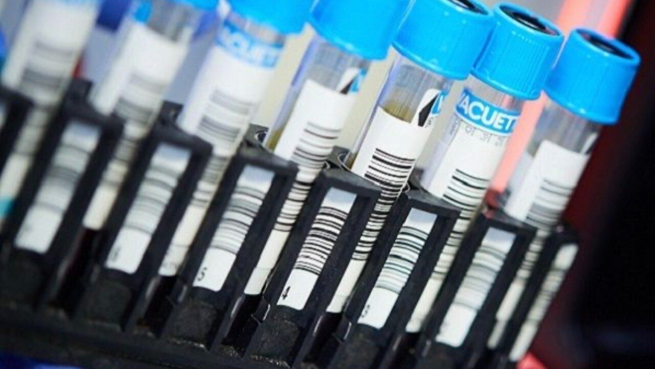 Petition · Say No to Co-Payments for Bulk Billed Pathology Tests in ...