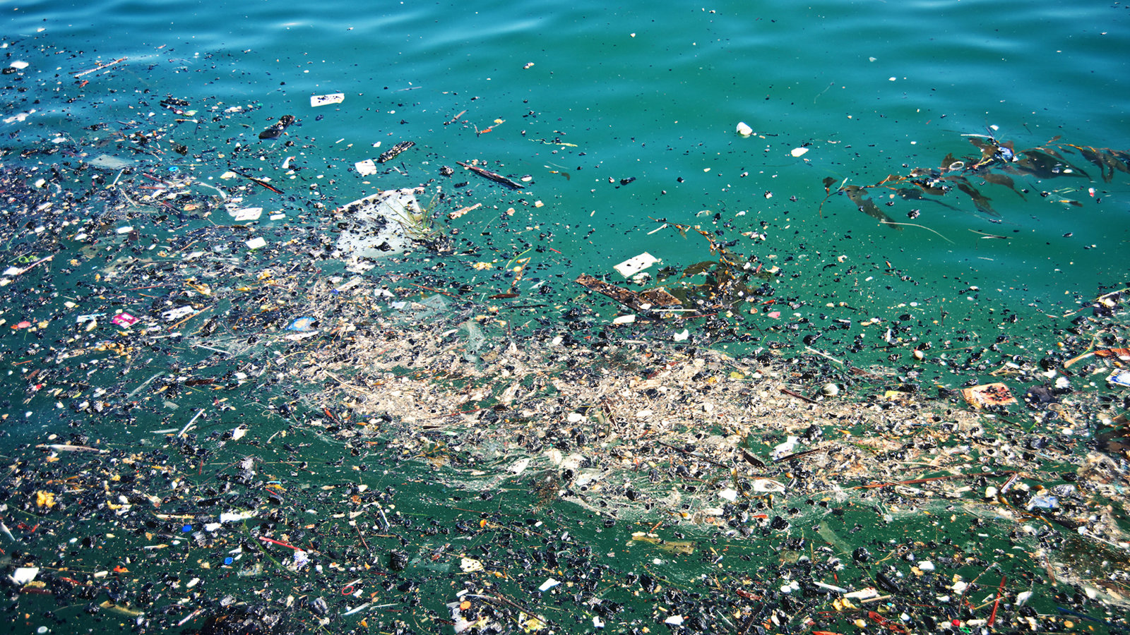 Petition · No More Plastic! - Washington, United States · Change.org