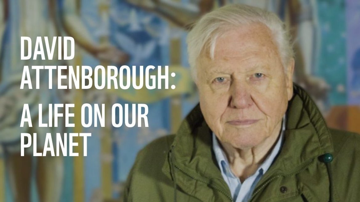 Petition · Requesting Netflix to air only &quot;David Attenborough: A Life ...