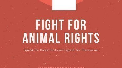 Petition · Fight for Animal Rights! - United States · Change.org