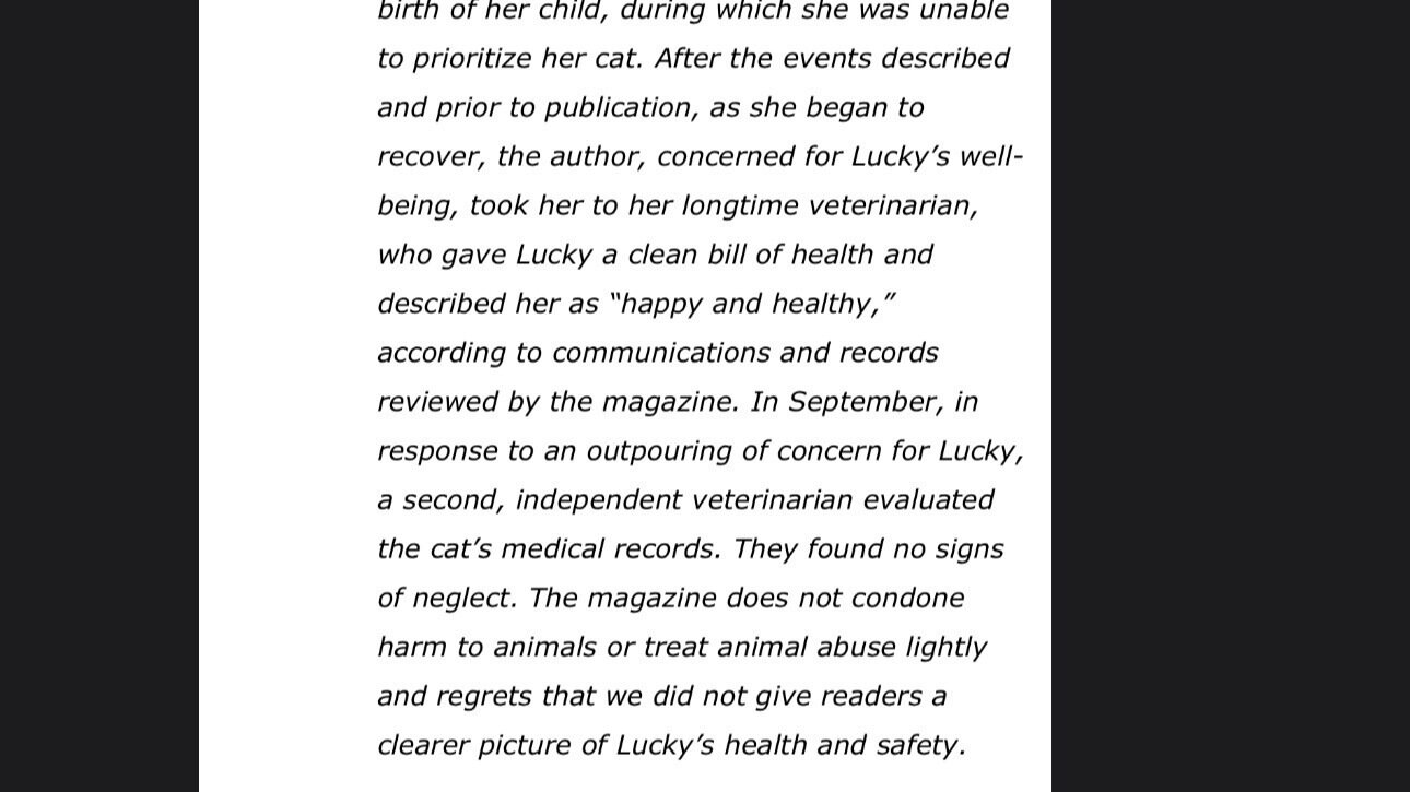Petition update · The Cut’s vague response regarding Lucky’s update ...