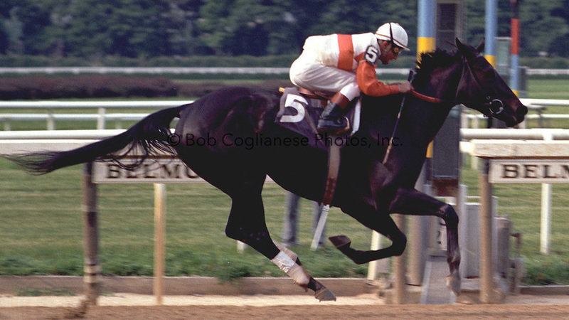 Petition · Support the Ruffian Statue · Change.org