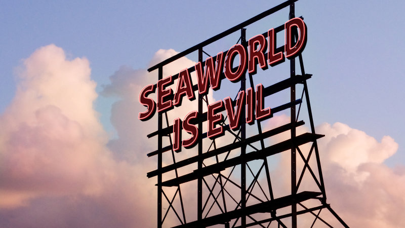 Petition · Please tell SeaWorld that we demand the closure of their ...
