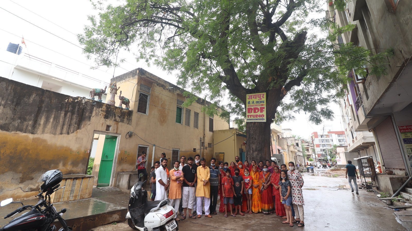 Petition · Save the 100 years old Neem Tree - India · Change.org