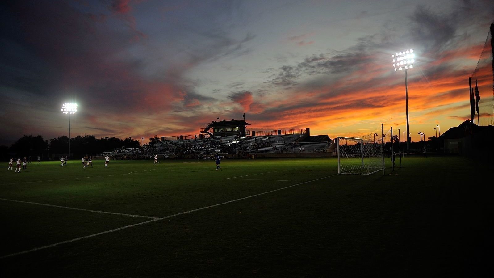 Petition · Bring outdoor soccer intramurals back to LSU - United States ...
