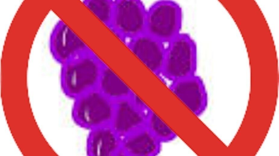 Petition · PETITION FOR ANTI-GRAPE ROLE! - New Zealand · Change.org