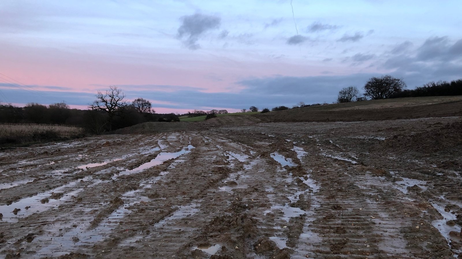 Petition · Nature Reserve torn apart by developer destroying Ancient ...