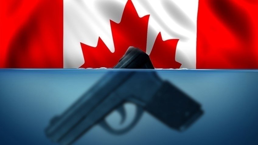 Petition · Remove Canada’s Current Gun Ban On Semi Automatic Rifles ...