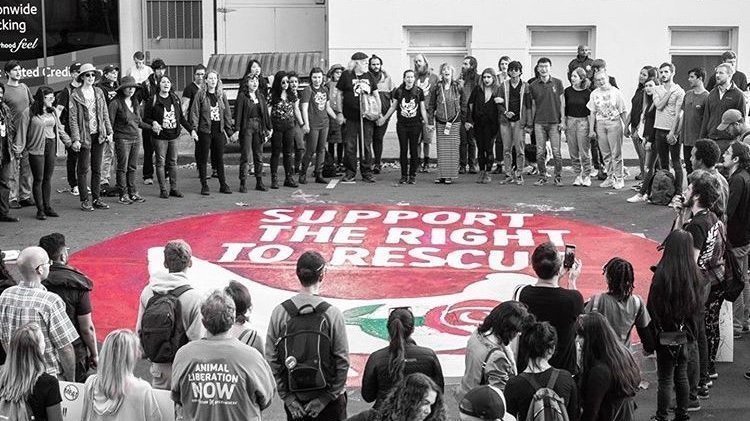 Petition · QUEBECQUOIS DEMAND THE RIGHT TO RESCUE ANIMALS FROM ABUSE ...