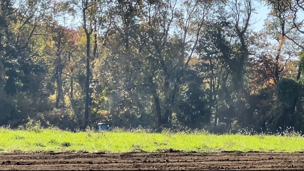 Petition · Termination of Field View Farm lease - Orange, United States ...