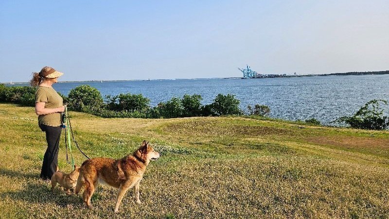 Petition · Establish a New City Park at Lambert's Point - United States ...