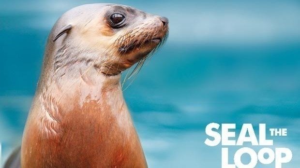 Petition · Over 100,000 seals are dying every year from OUR fishing ...