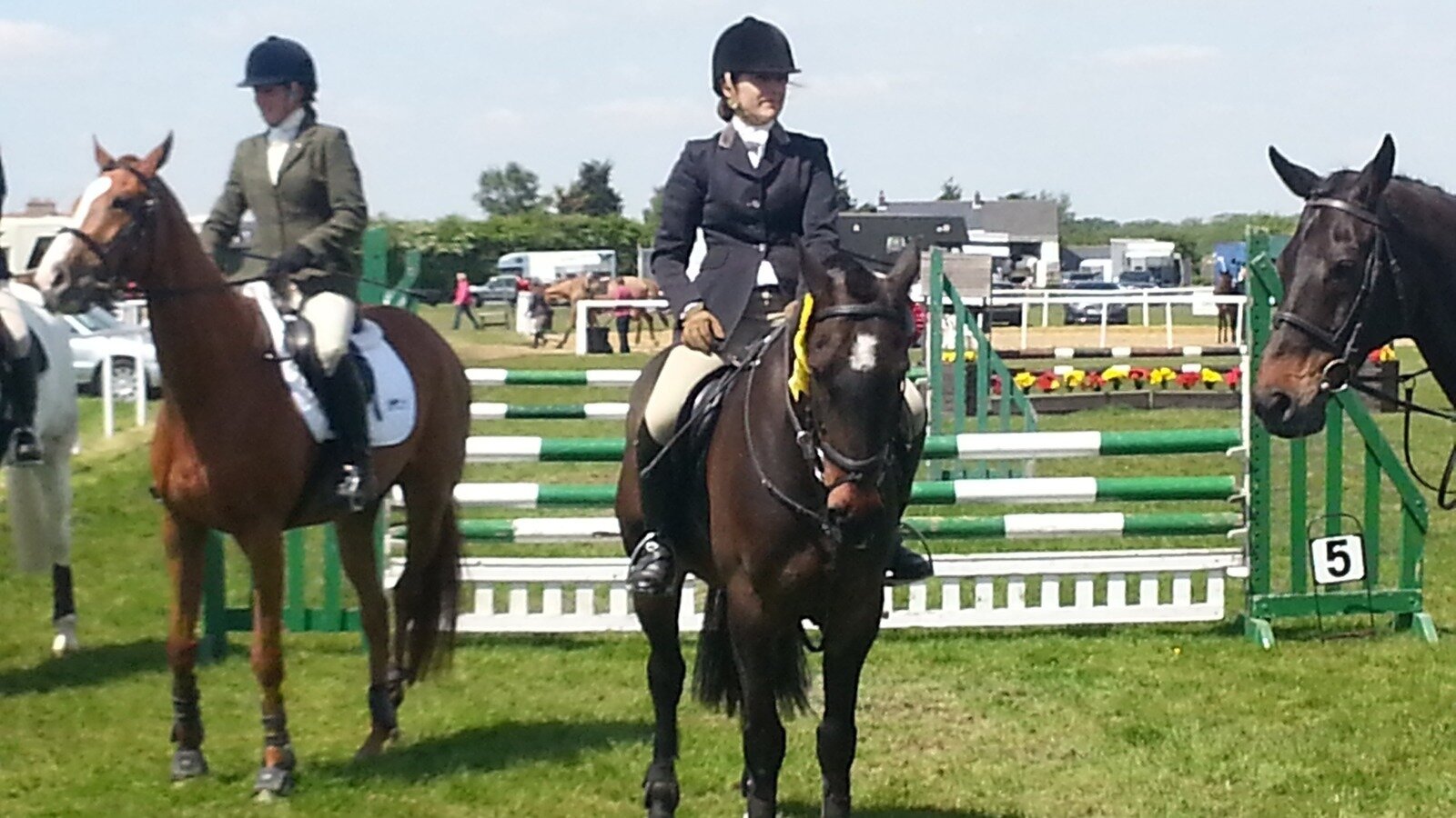 Petition · Fair and Transparent Membership Fees for British Riding ...