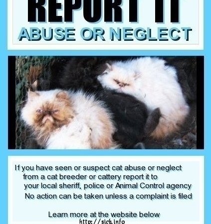 Petition · Stop Inhumane Cat Breeding · Change.org