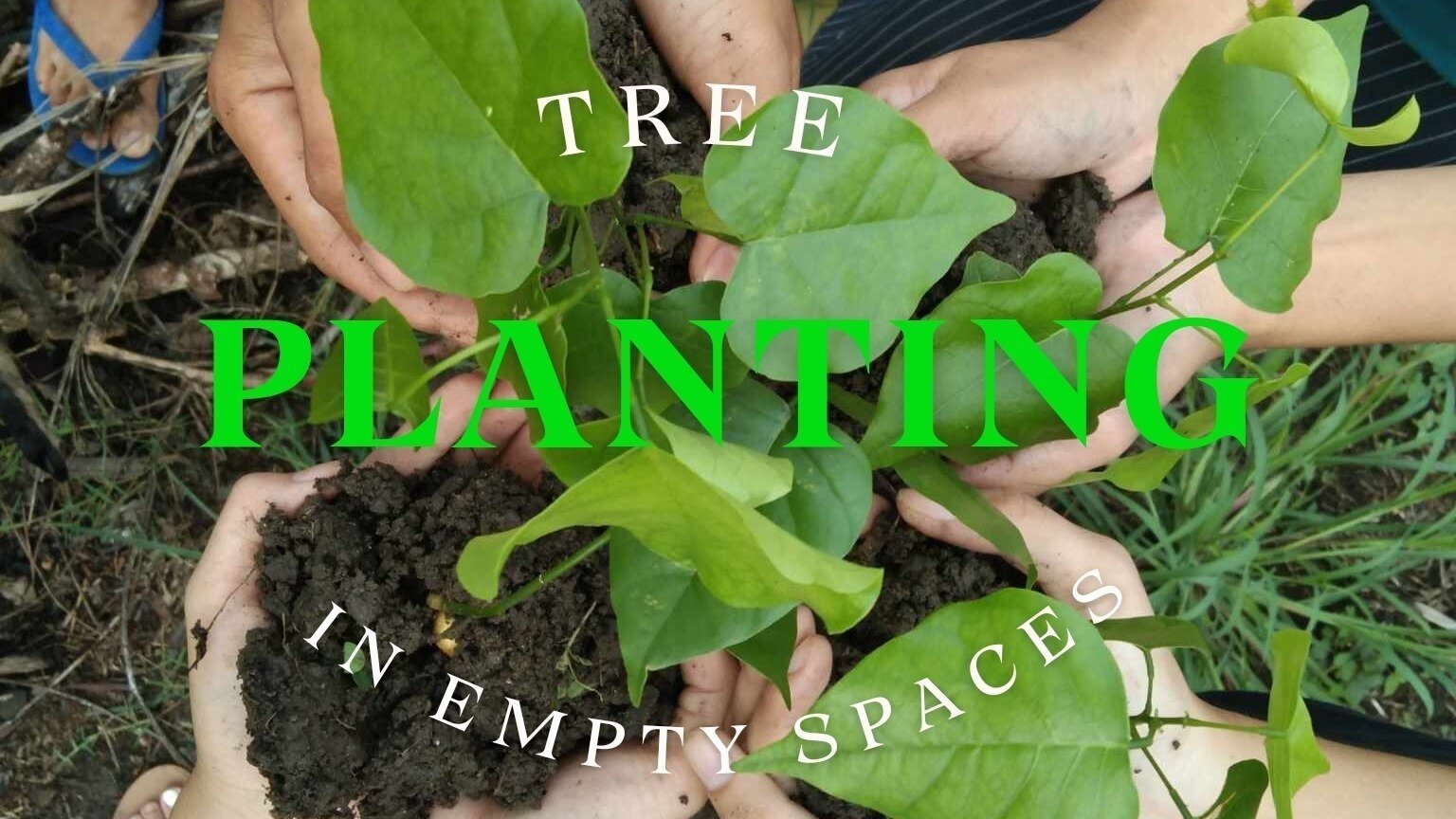 Petition · Tree Planting in empty spaces - Philippines · Change.org