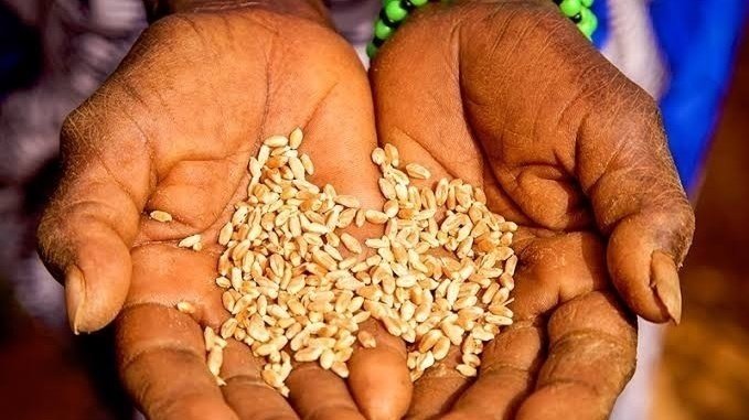 Petition · End World Hunger ️ - Australia · Change.org