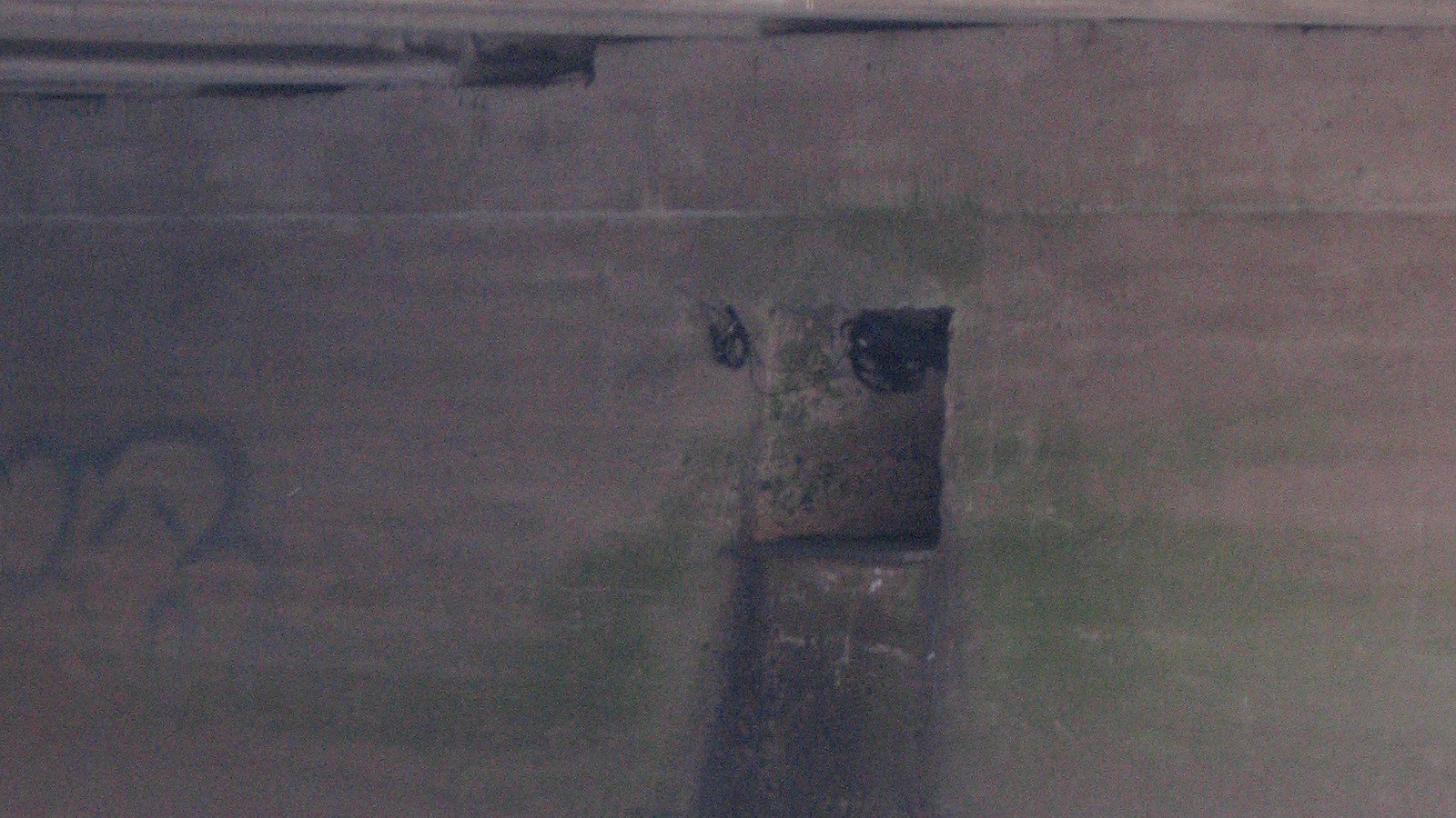 Petition · use green and gray infrastructure to fix sewer overspills ...