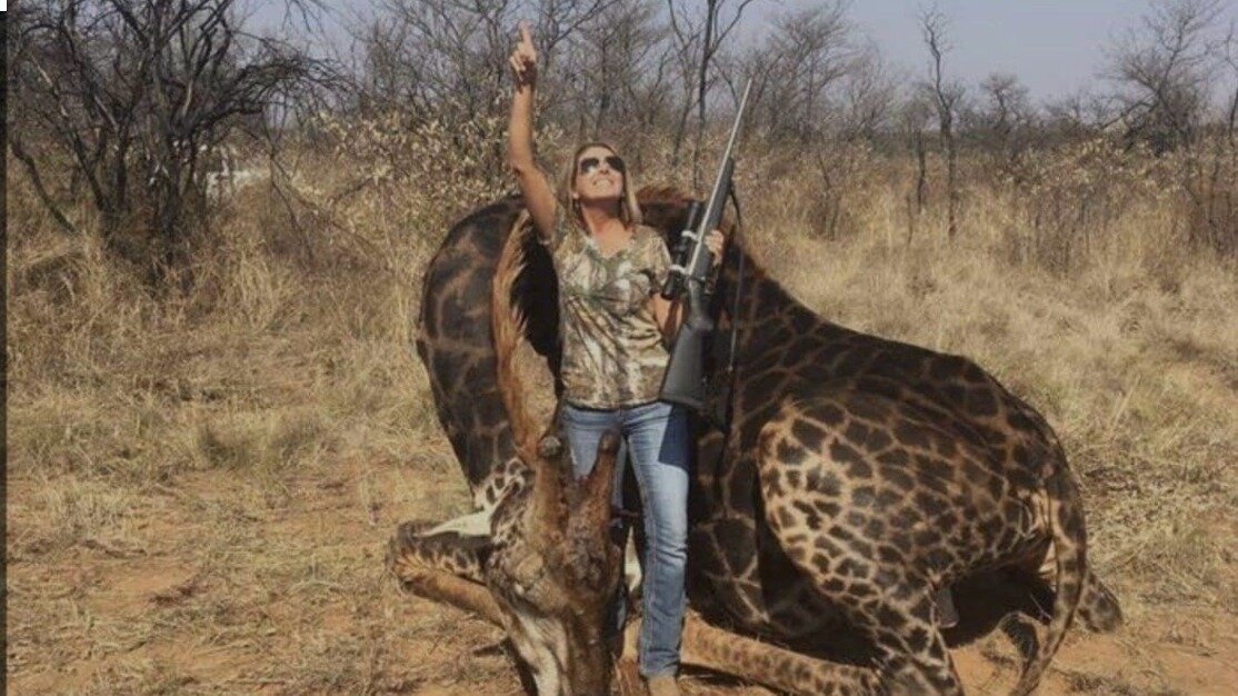 Petition · Ban trophy hunting of animal species - United States ...