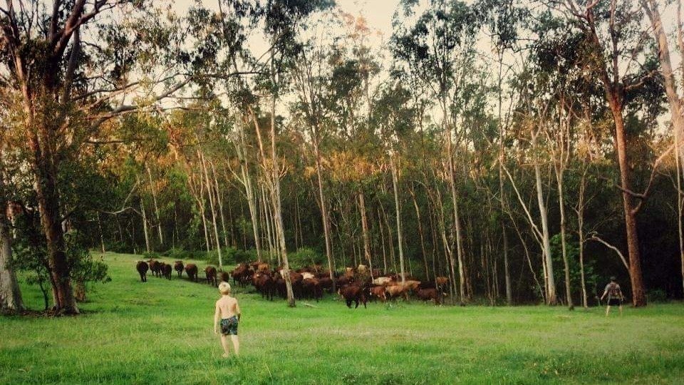 Petition · Save Scott's Farm - Qld Government want to build a school on ...