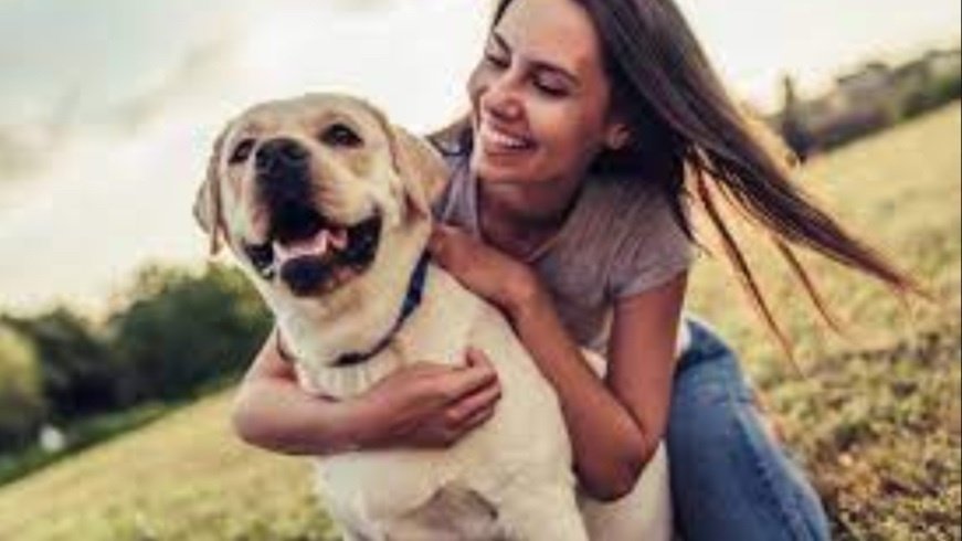 Petition · No more animal malt - Mexico · Change.org