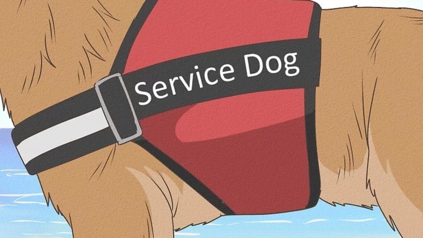 Petition · Database for Certified Service Animals. Allow to Require ...