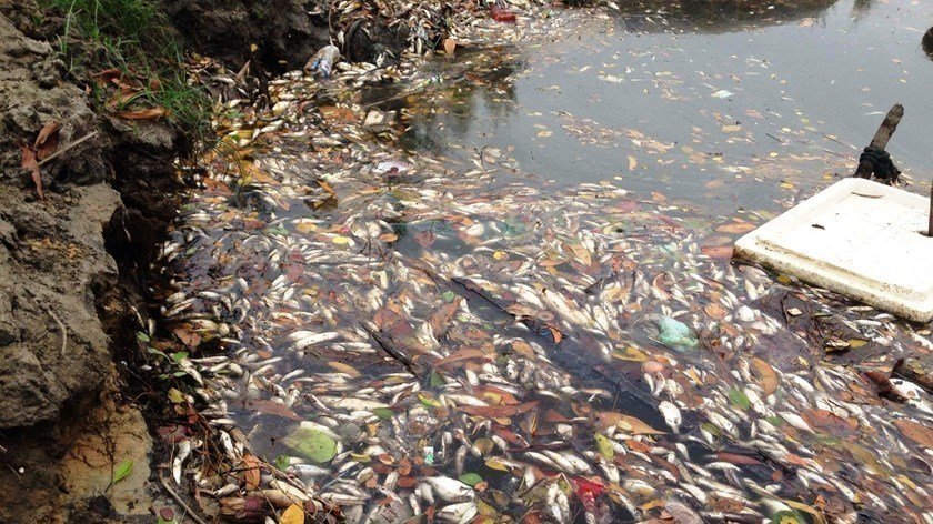 Petition · Poisoned Water in Vietnam - Vietnam · Change.org