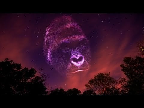 Petition · Change the Name of the Cincinnati Zoo to Harambe Memorial ...