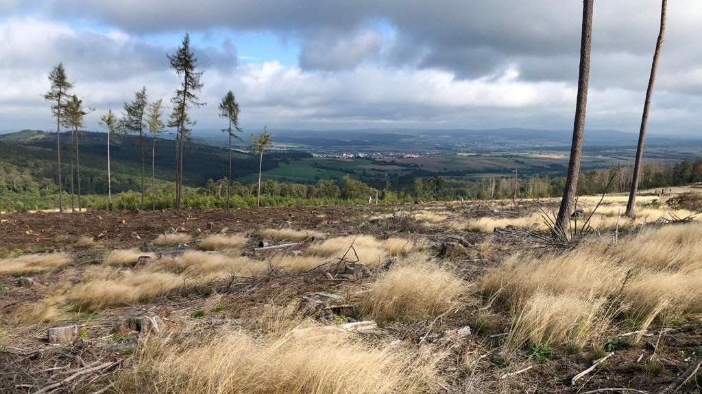 Petition update · Bitte unterzeichnen! Online-Petition: WALDWENDE IN ...