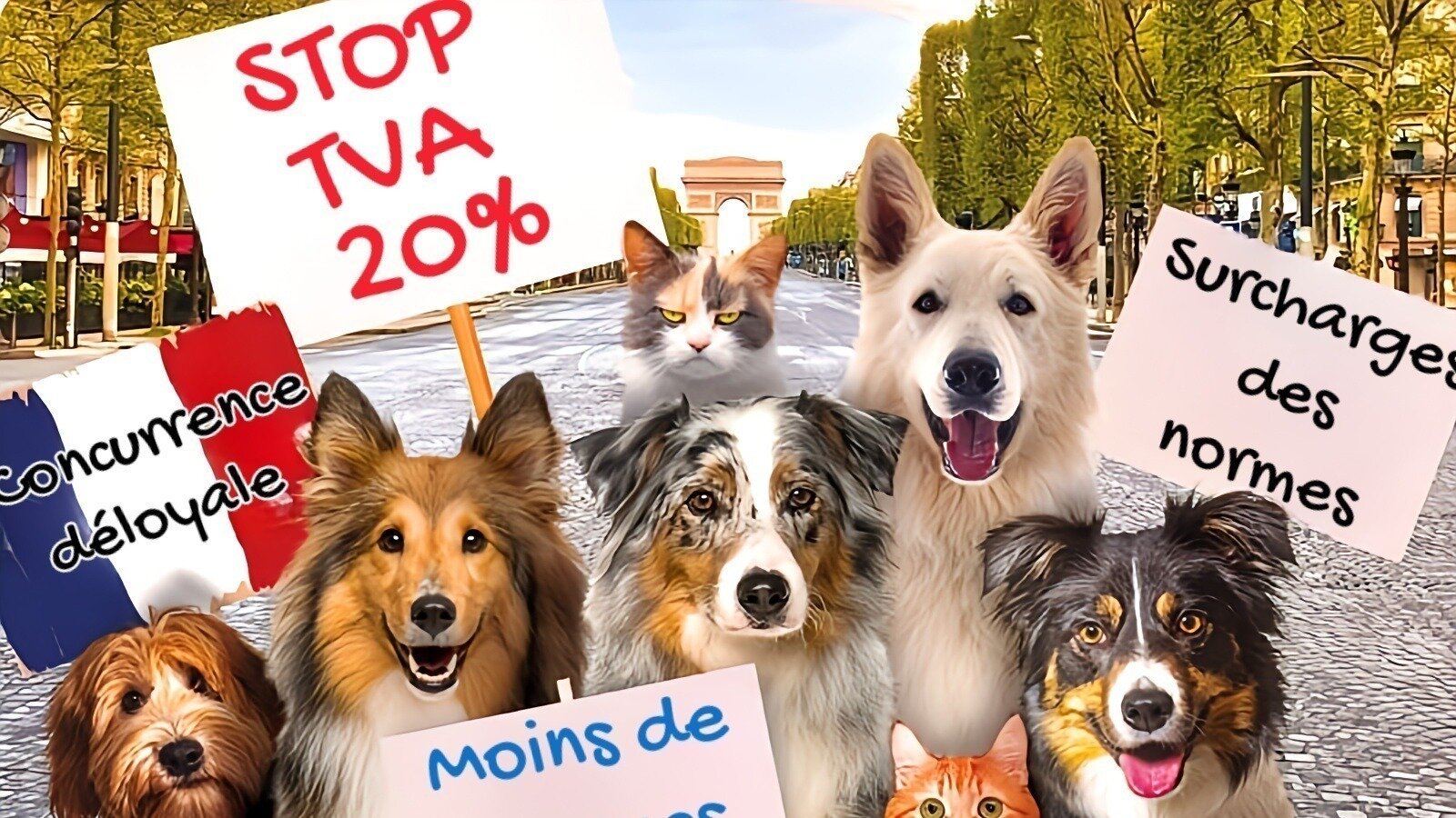 Pétition · Baisse de la TVA à 10% sur la vente de chiots/chatons LOF ...