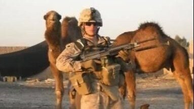 Petition · Honor Lance Corporal Timothy Poole and his family - United ...