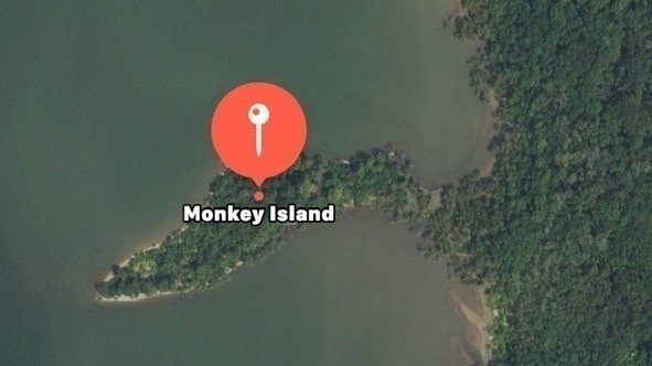 Petition · Make Monkey Island a real island - United States · Change.org