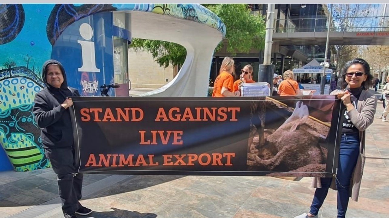 Petition update · Perth Awareness Day and Canberra…… · Change.org ...