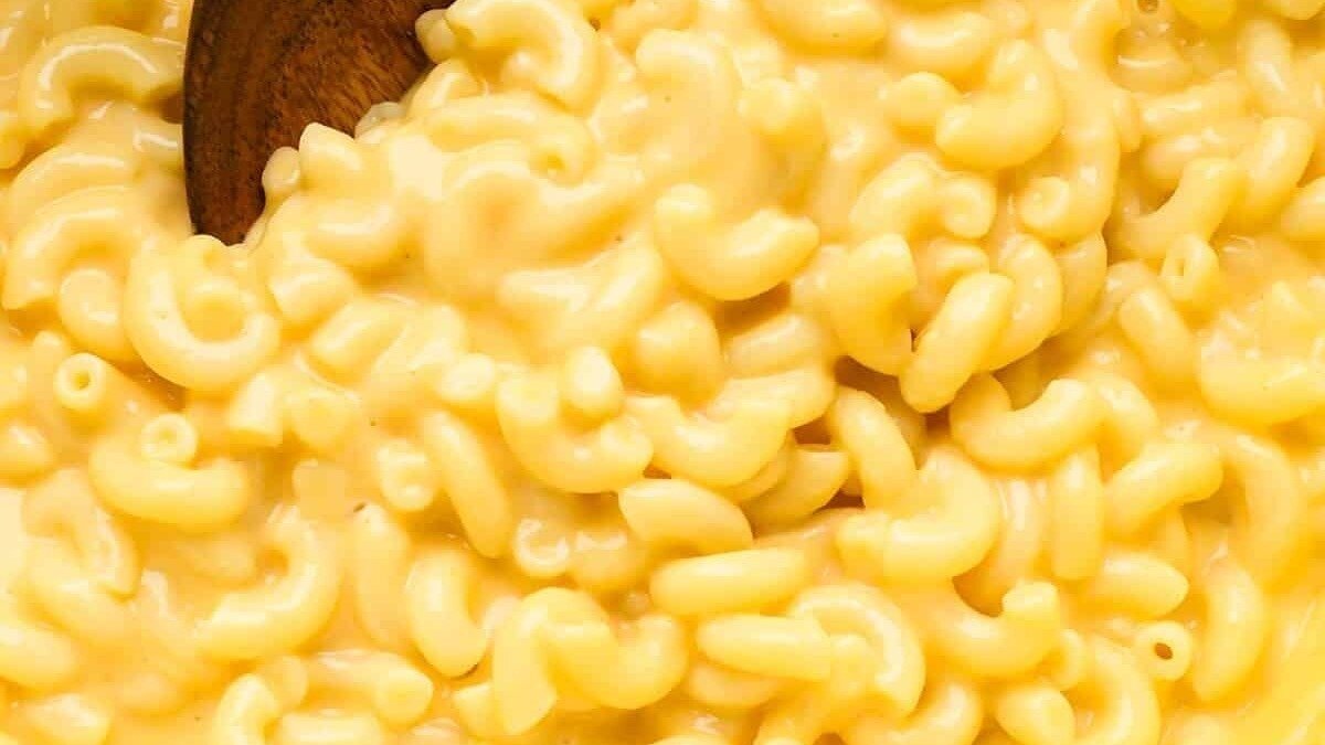 Petition · Reinstate Macaroni and Cheese in the CoxNorth Cafeteria ...