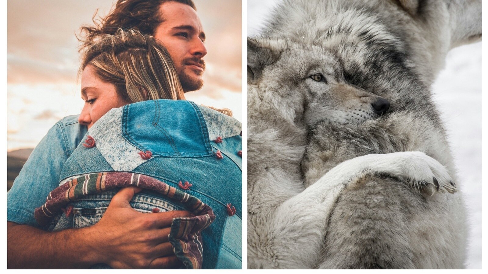 Petition update · Wild(life) is more than a term to describe animals in ...