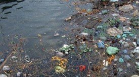 Petition · Help save the Ganga - India · Change.org