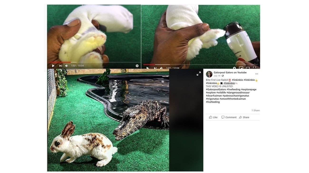 Petition update · Your Help is Needed to Shut Down Animal Torture ...