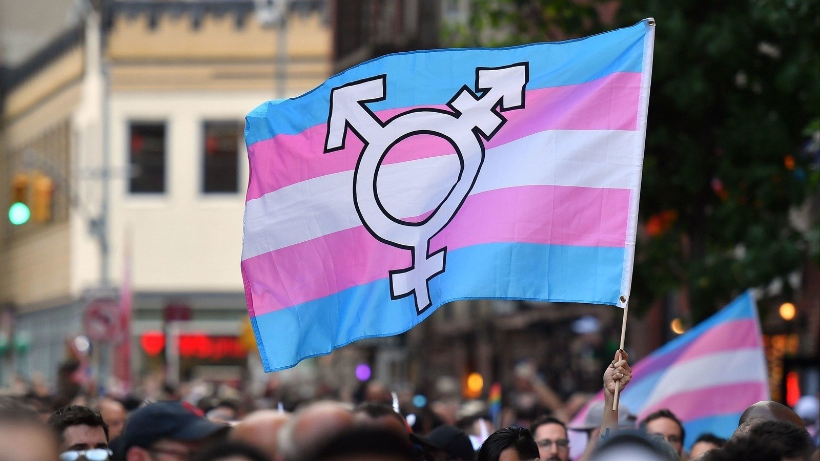 Petition · Make NY a refuge state for the transgender and LGBTQIA ...