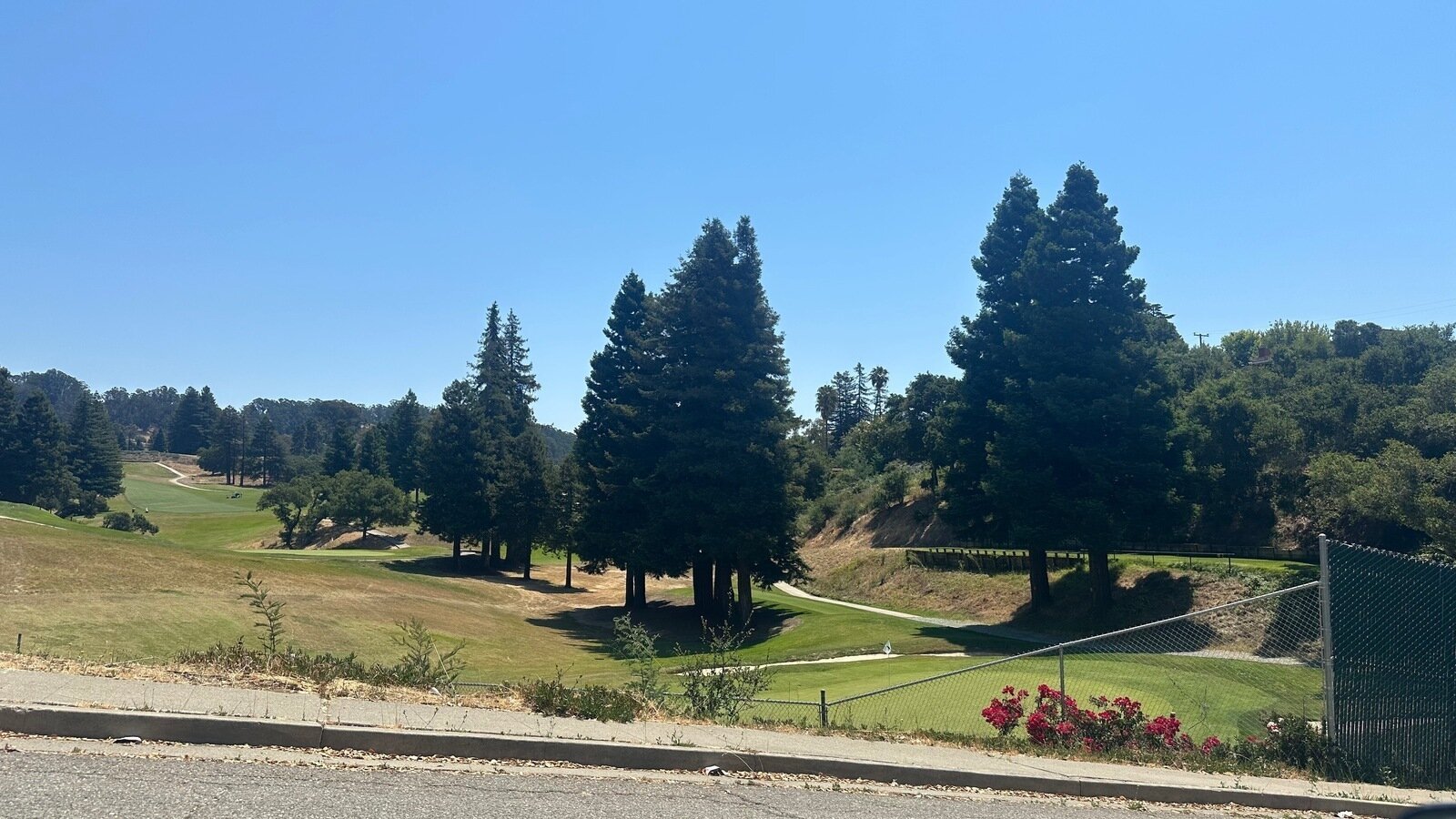 Petition · Save the Coast Redwoods at Sequoyah Country Club! - Oakland ...