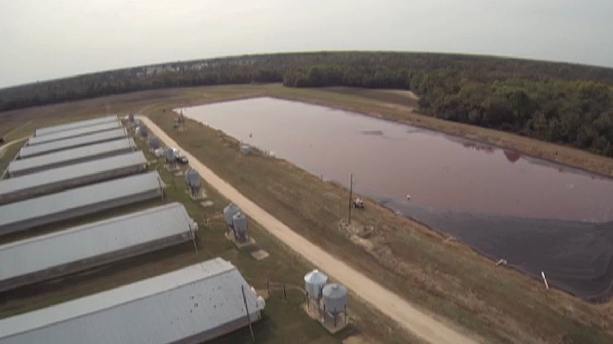 Petition · Gov. McAuliffe - Halt the construction of Poultry CAFO's in ...