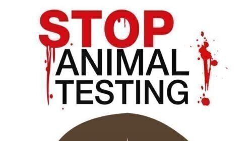 Petition · End Animal Testing in Make-Up Products - Embrace Cruelty ...