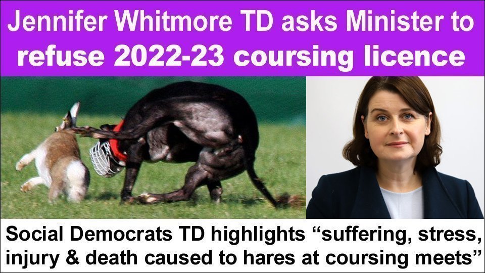 Petition update · Jennifer Whitmore TD asks Minister to refuse coursing ...