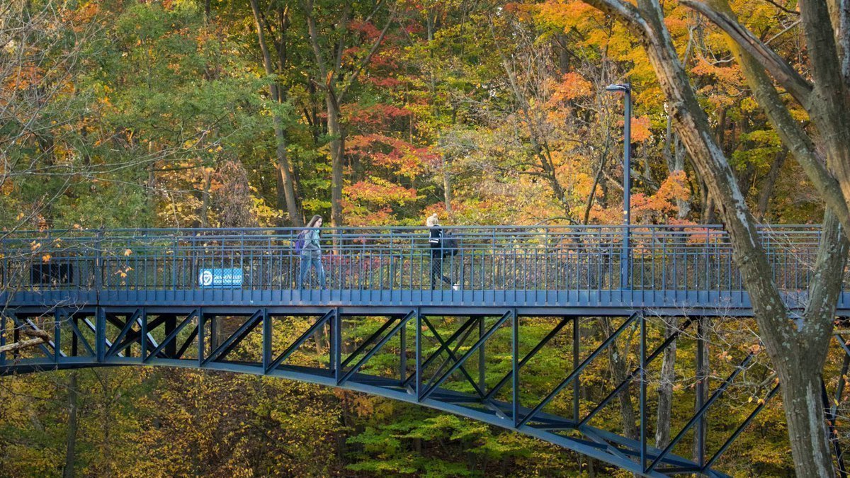 Petition · Enclosing the Little Mac Bridge - United States · Change.org