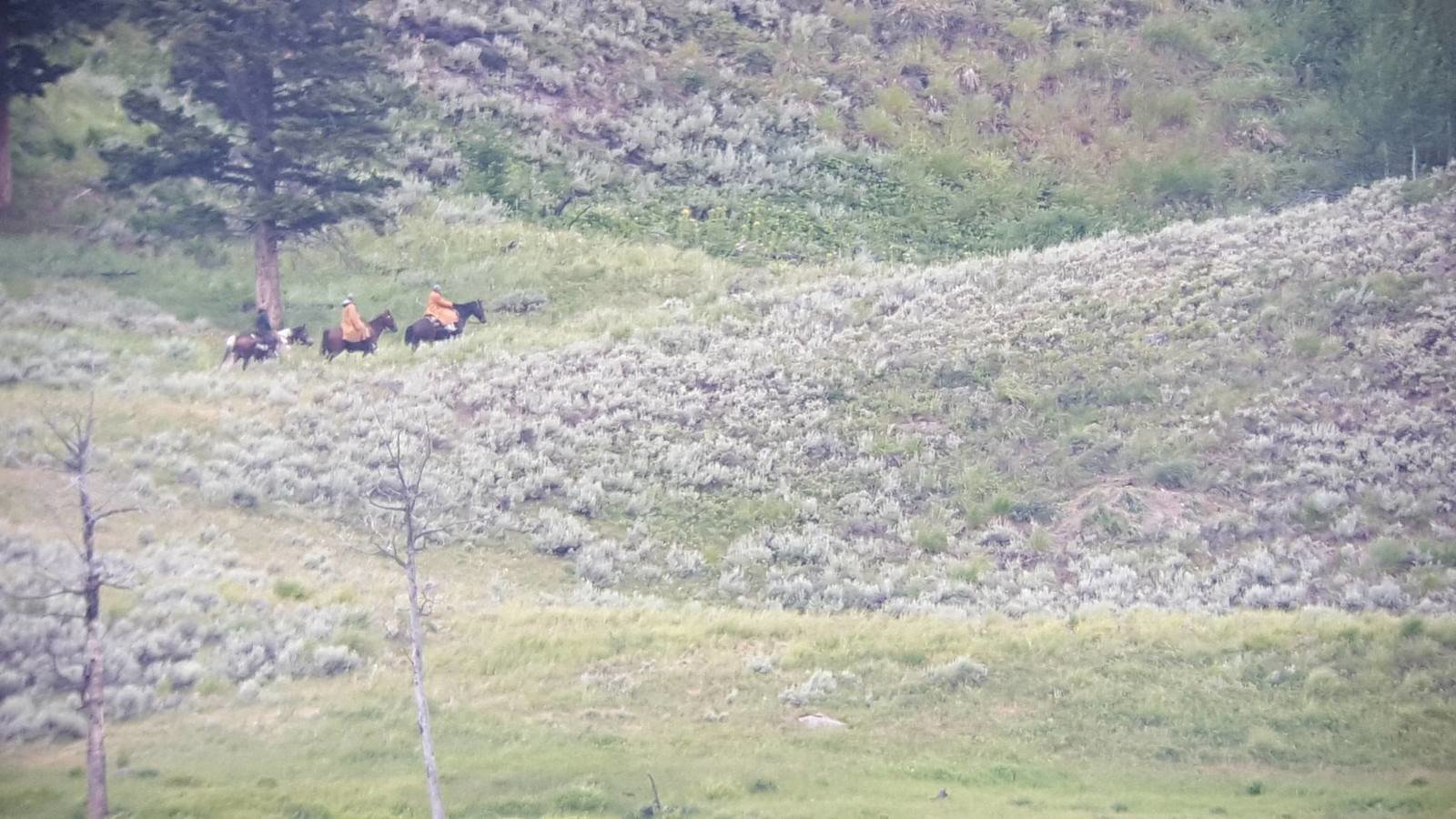 Petition · Ban Hunting Guides, Outfitters, and Hunter Access on Trails ...