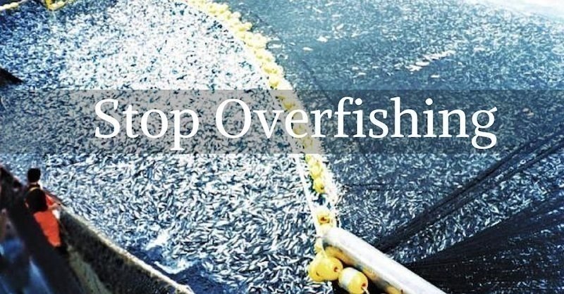 Petition · Create and enforce stricter overfishing regulations - United ...